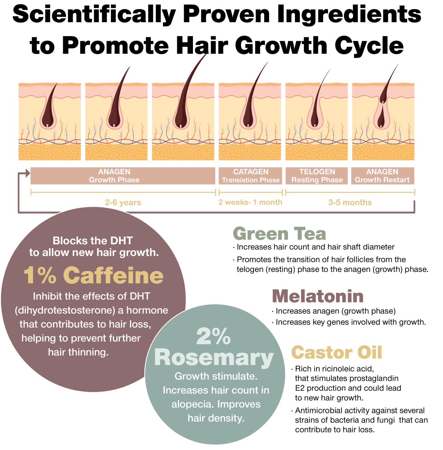 Grow Bars - Freshmade Professional